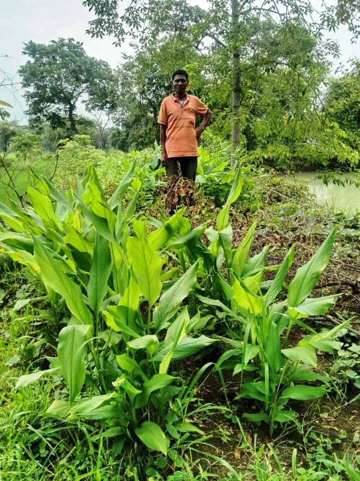 Pond Opens Doors to Prosperity, Dular Singh's Dream Realized | Report Wire